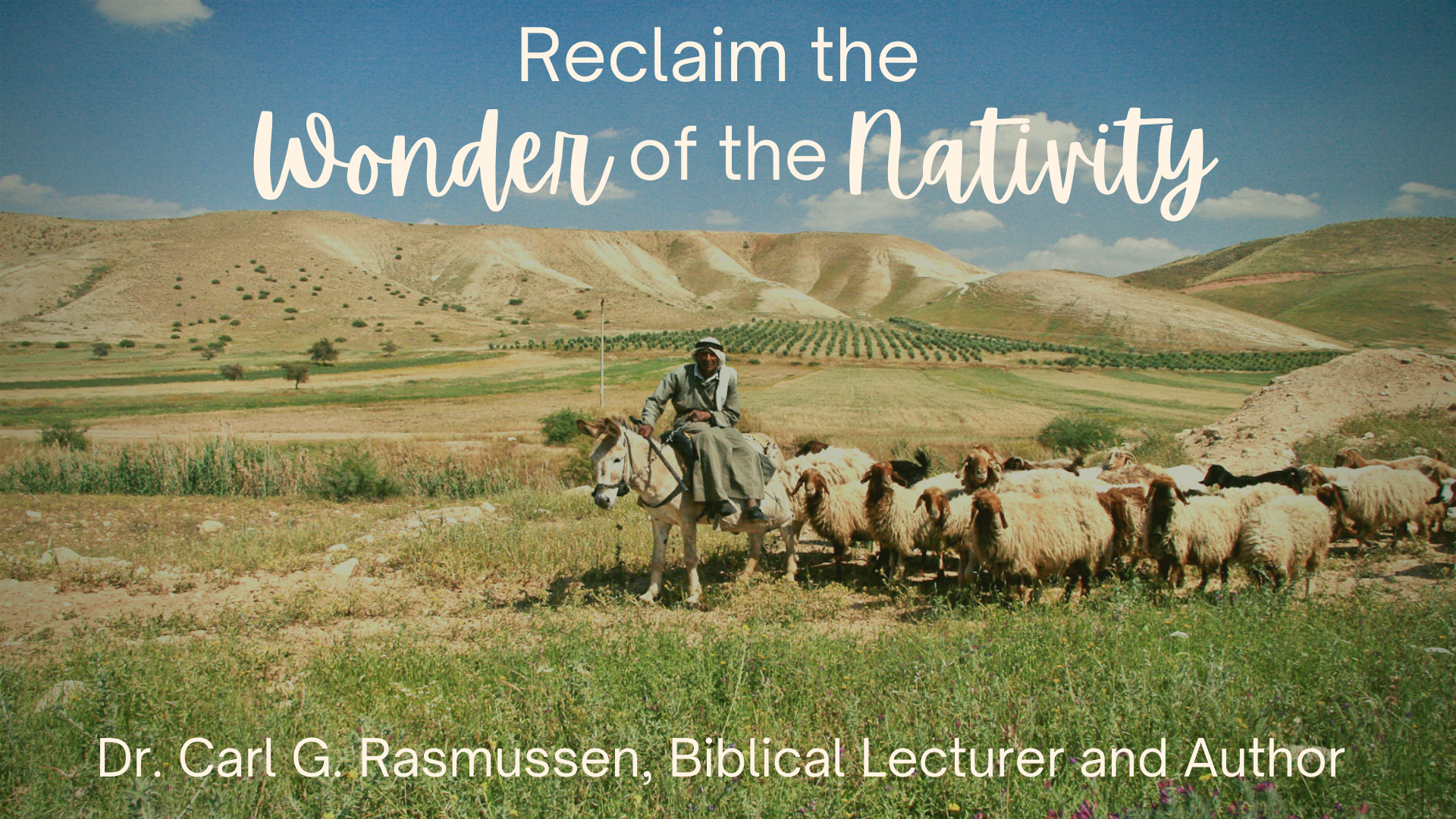 Dr. Carl G Rasmussen Resources | Marcia Ramsland | Organizing Pro